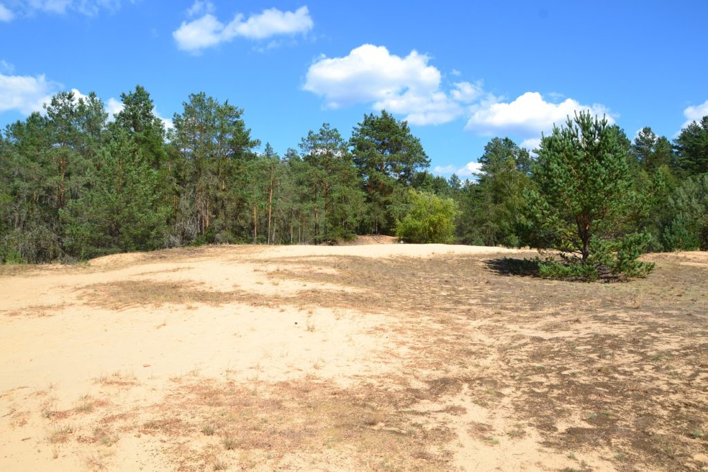 Dzūkijos paslaptys: kuo žemaitiškas kastinys skiriasi nuo dzūkiško ...