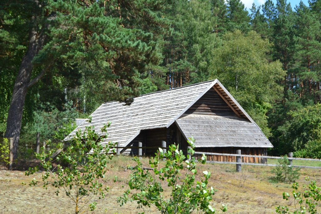 Dzūkijos paslaptys: kuo žemaitiškas kastinys skiriasi nuo dzūkiško ...